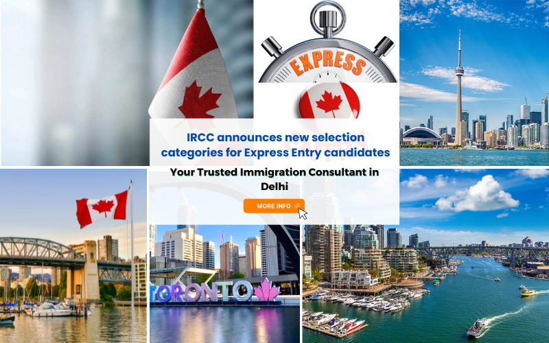 How to find Top ICCRC immigration agent ? ICCRC Check Process